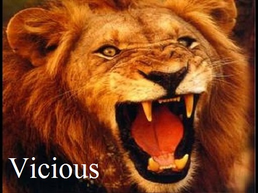 Vicious -504-14-8 - UCLnet.com